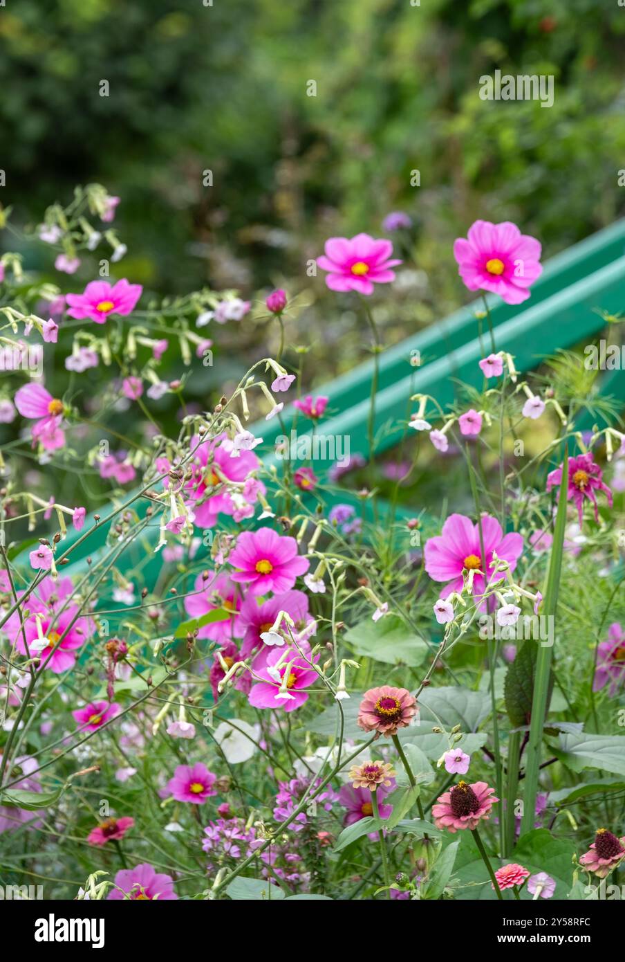 Colourful flowers in the garden at the impressionist painter Claude ...