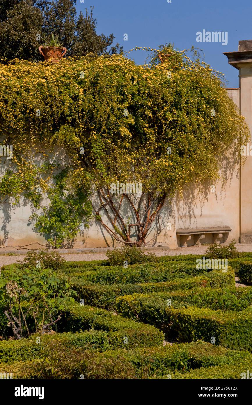 View of the Boboli Amphitheatre and Uffizi Palace. Boboli gardens ...