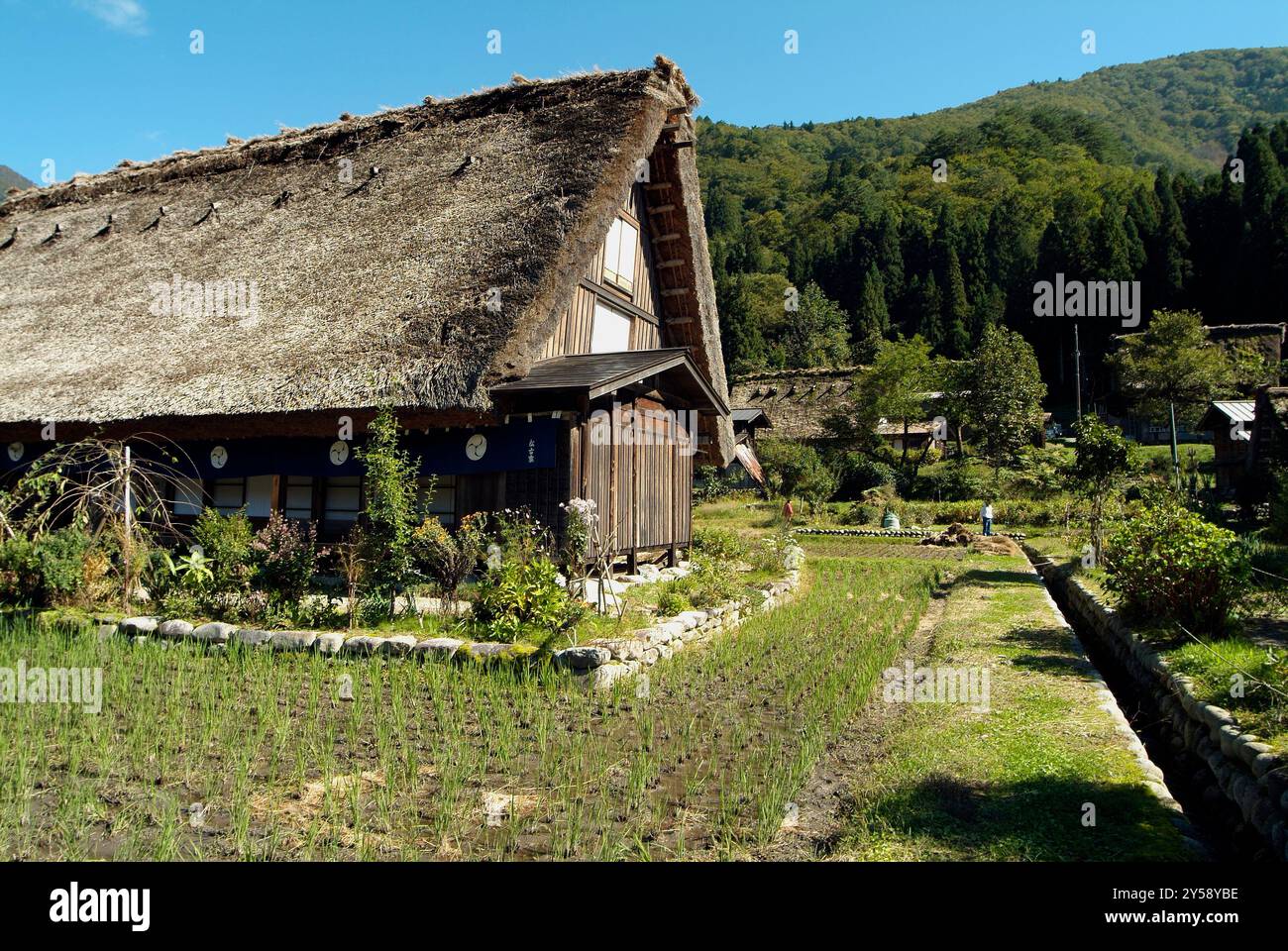 Rice cultivation and traditional farmhouses in the Gassho-zukuri style ...