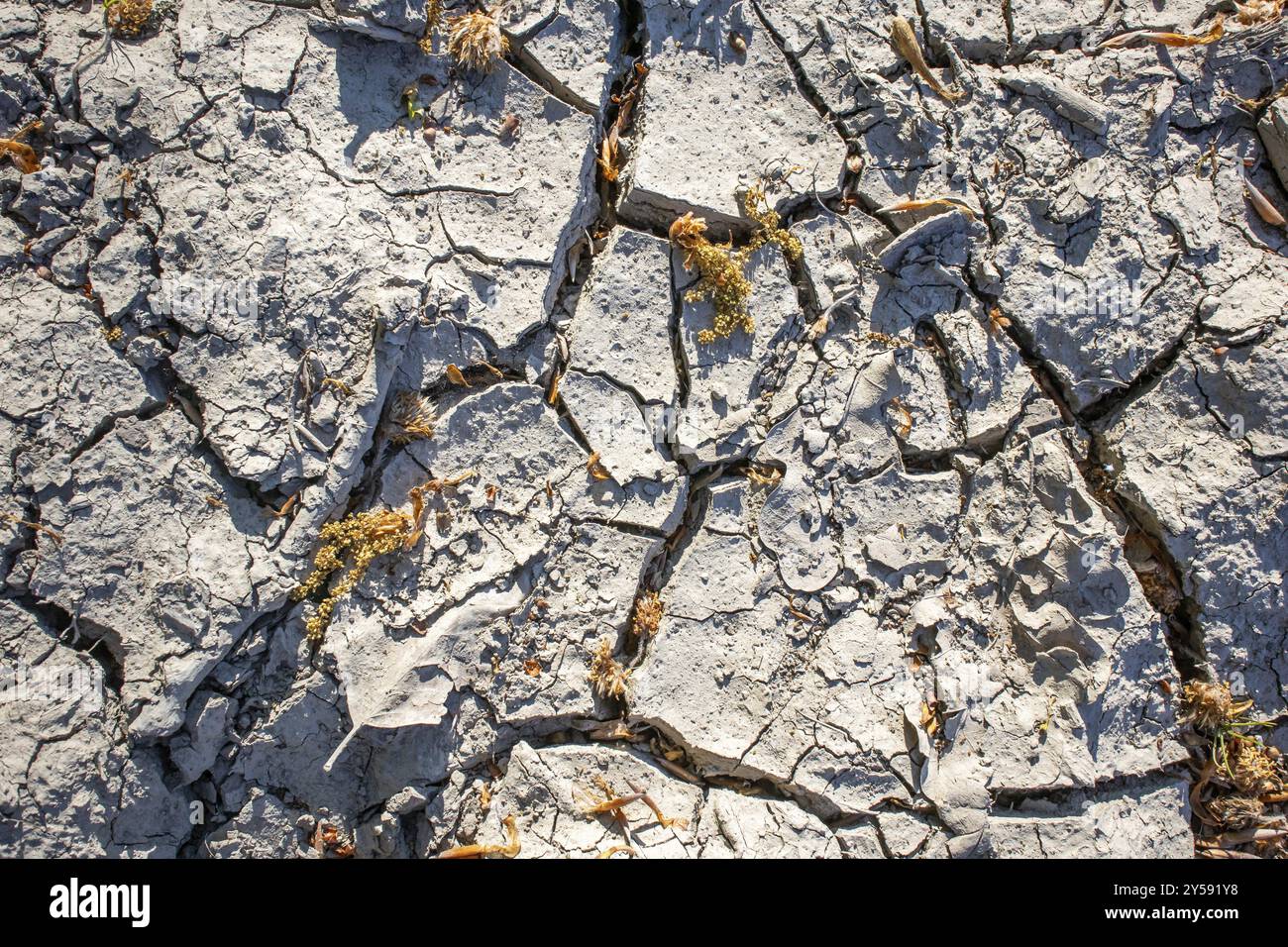Dried out soil Lack of rain Stock Photo - Alamy
