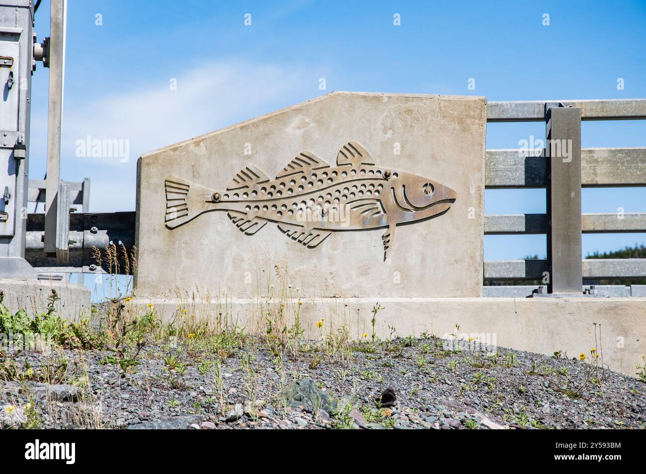 Mural of a cod fish on railing of the Sir Ambrose Shea Lift Bridge on ...