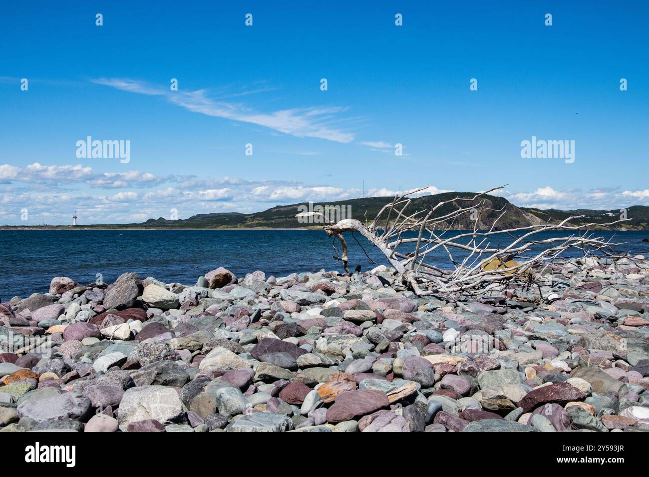 Rocky beach at Point Verde Lighthouse in Placentia, Newfoundland ...