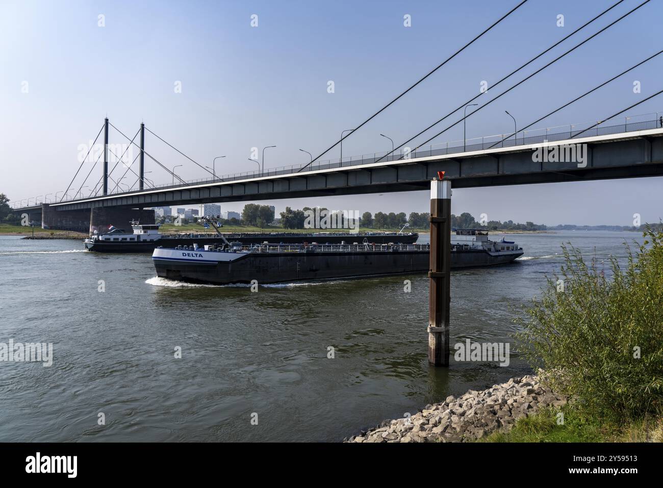 The Theodor-Heuss-Bridge, Rhine crossing, cable-stayed bridge, first ...