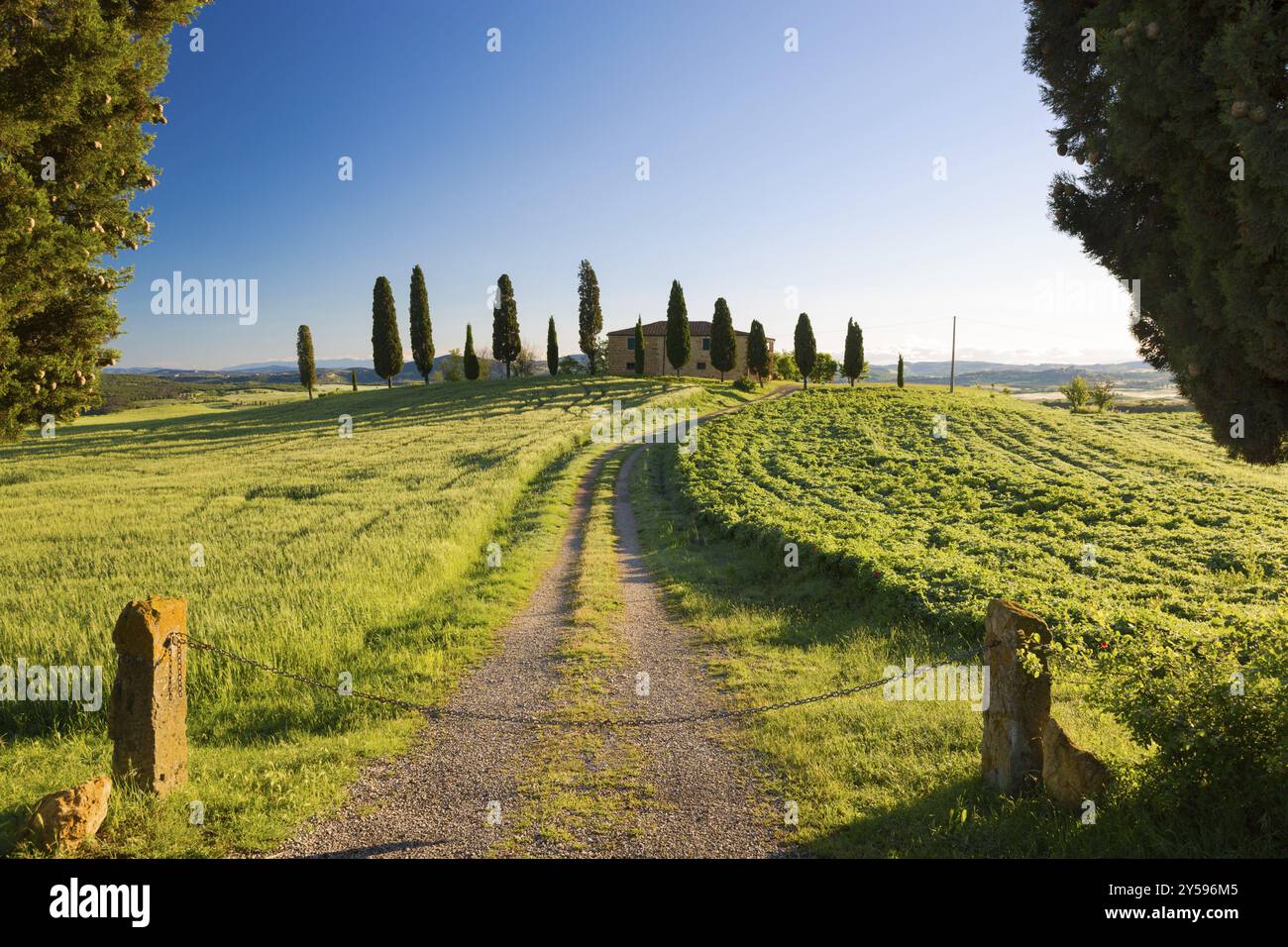 Farmhouse with cypress and blue skies, Pienza, Tuscany, Italy, Europe ...