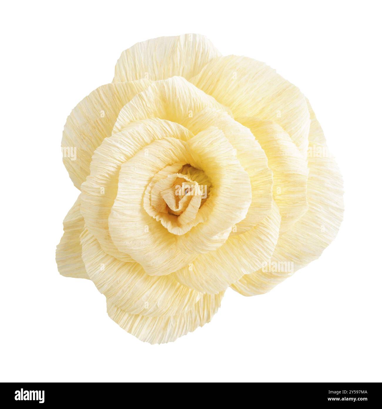 Blossom of a yellow rose paper flower isolated on white background ...