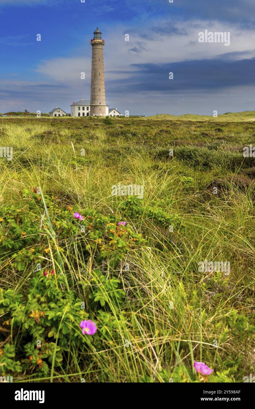Gra Fyr, the grey tower, lighthouse of Skagen, Denmark, Europe Stock ...