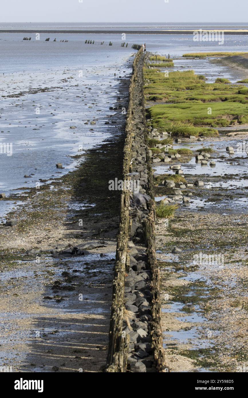 This wooden groyne is used for coastal protection on the Frisian North ...