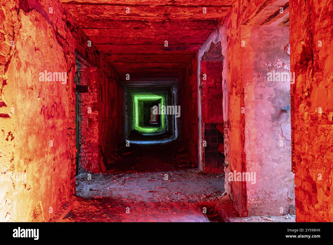 Long dark cellar corridor Stock Photo - Alamy