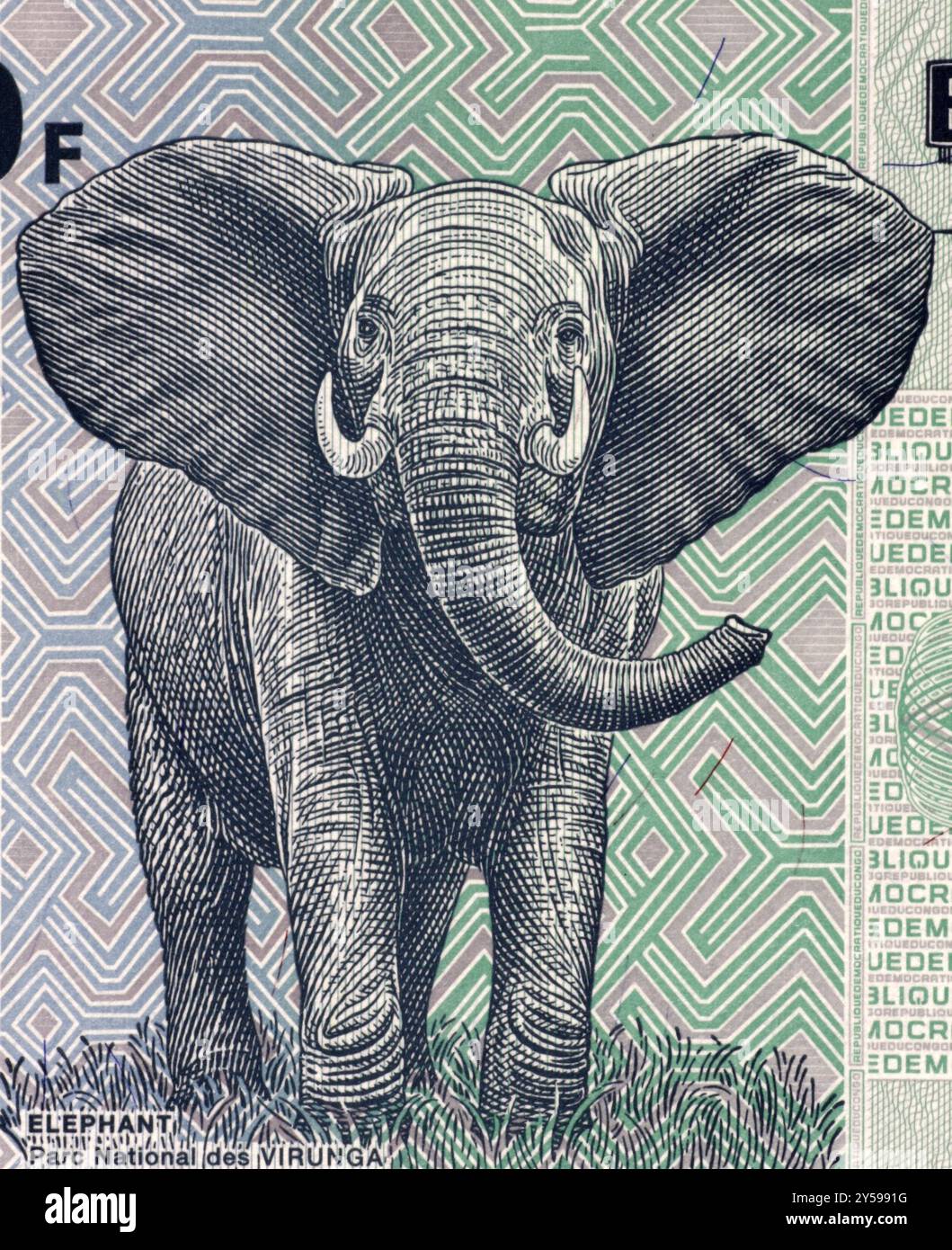 Elephant on 100 francs 2007 banknote from Congo Stock Photo - Alamy