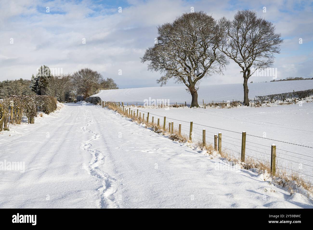 Farm land on the scottish borders hi-res stock photography and images ...