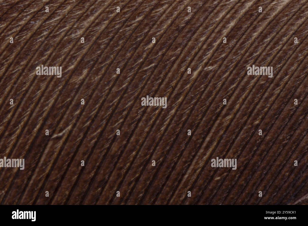 Structure of a spring Stock Photo - Alamy