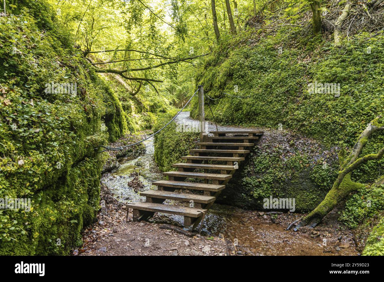 Hiking trail through the Dragon Gorge in Eisenach Thuringia Stock Photo ...