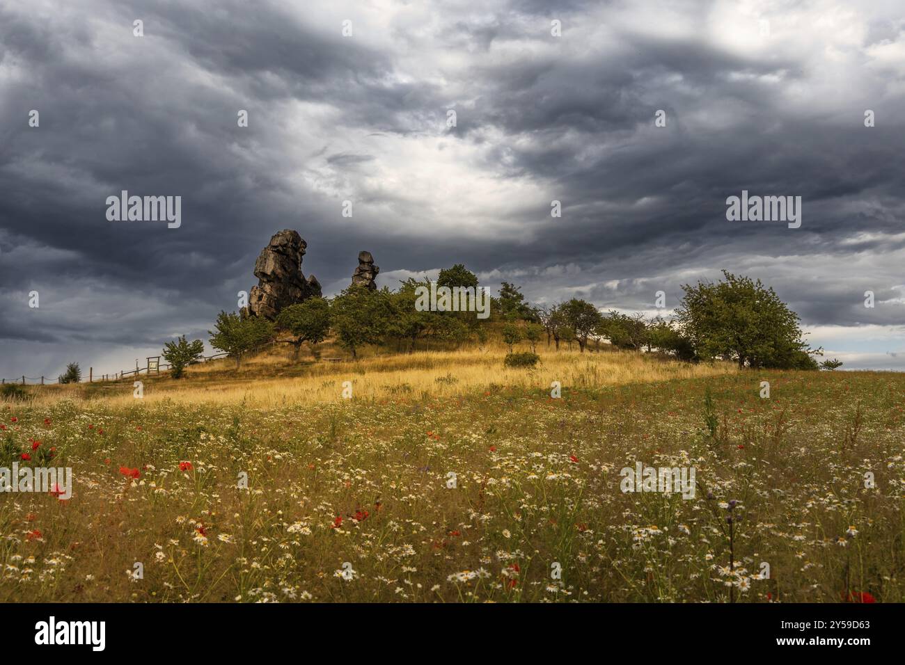 Devil's Wall Harz nature reserve with flowering summer meadow Stock ...