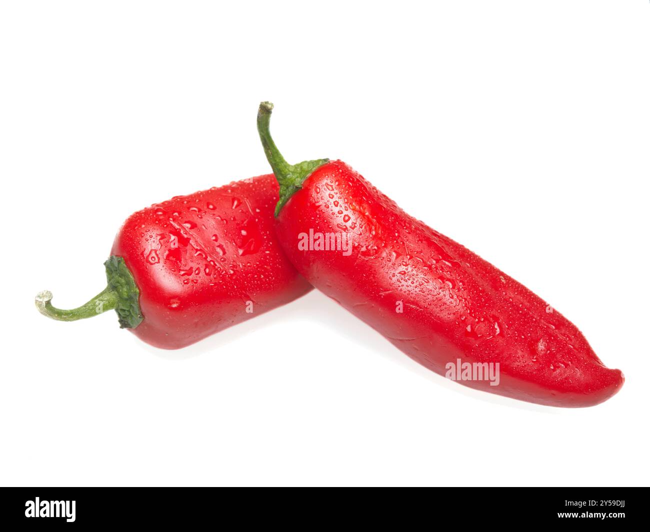 A close up food photo of wet red sweet peppers against a white ...