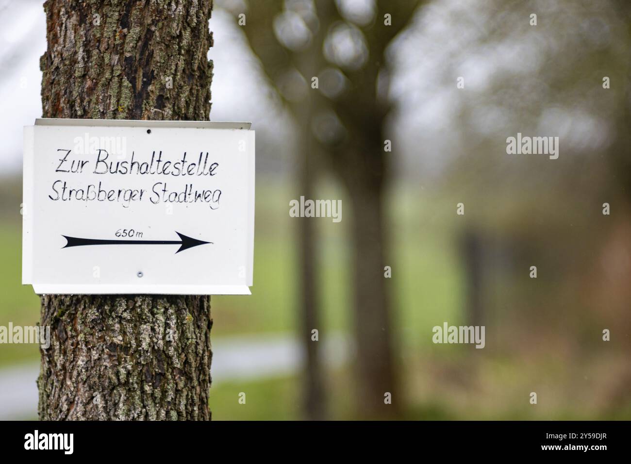 Strassberger hi-res stock photography and images - Alamy