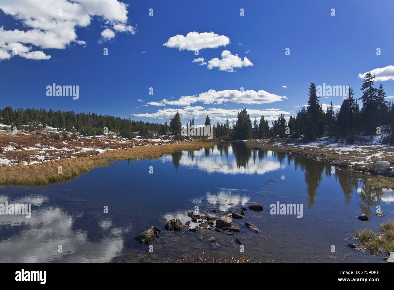 Yellowstone National Park: Beartooth Pass Stock Photo - Alamy