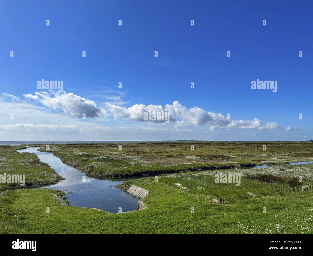 Salt marshes on Juist, East Frisian Islands, Germany, Europe Stock ...
