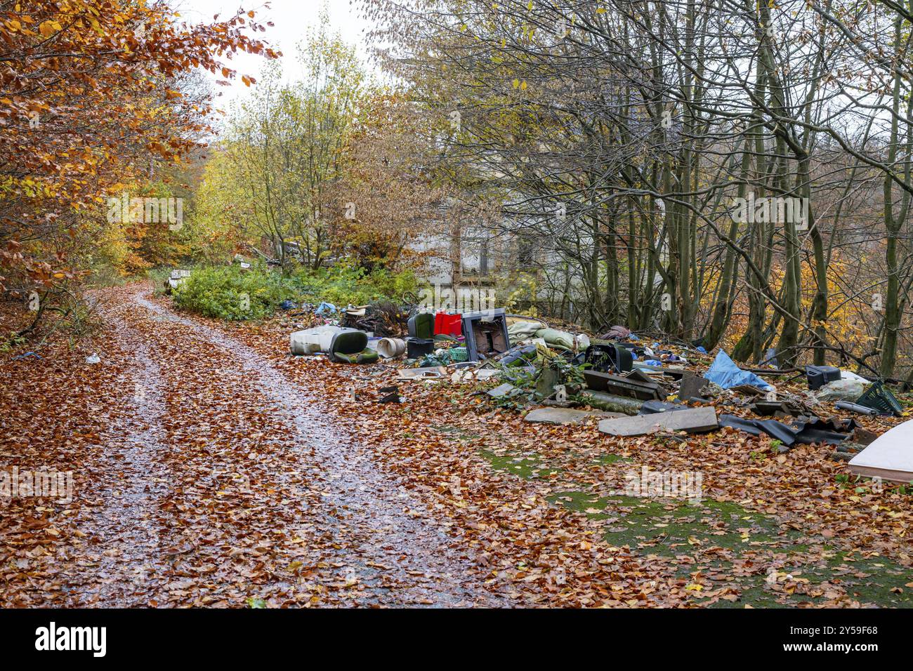 Waste disposal in the forest wild rubbish dump Stock Photo - Alamy