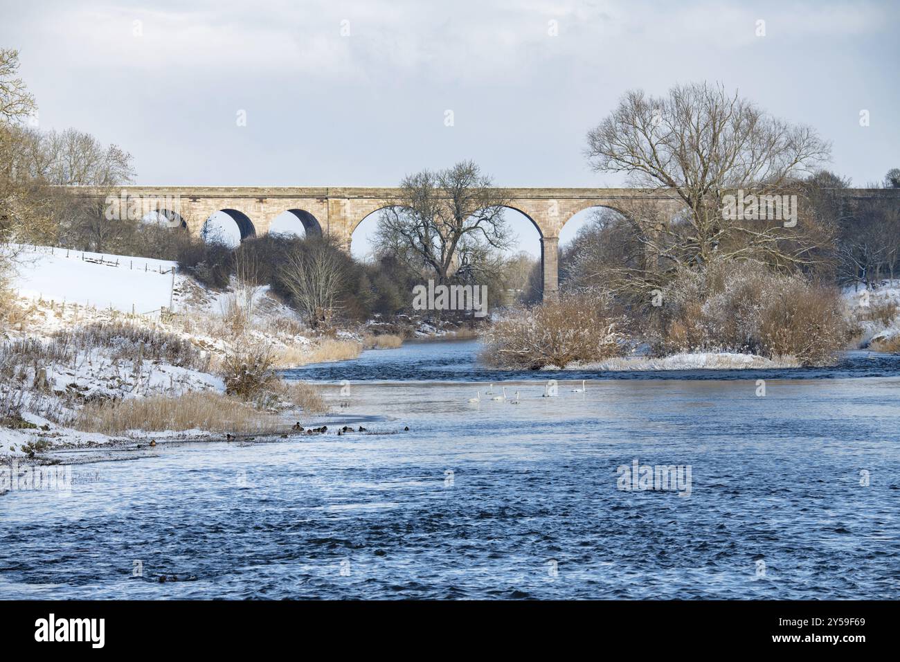 Roxburgh Viaduct over the Teviot River in winter snow, Scottish Borders ...