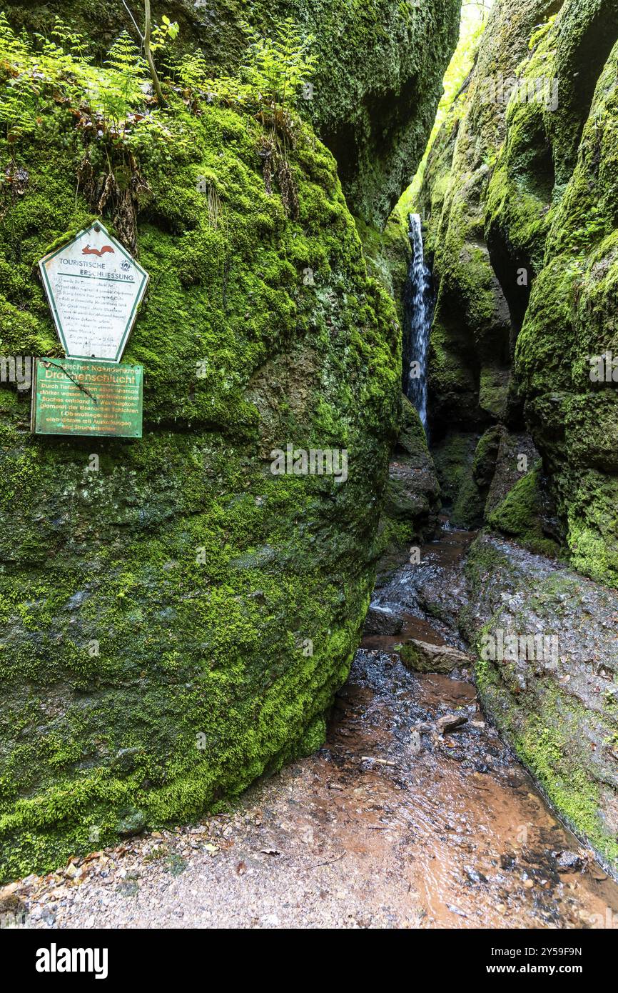 Hiking in the Dragon Gorge Eisenach Thuringia Stock Photo - Alamy