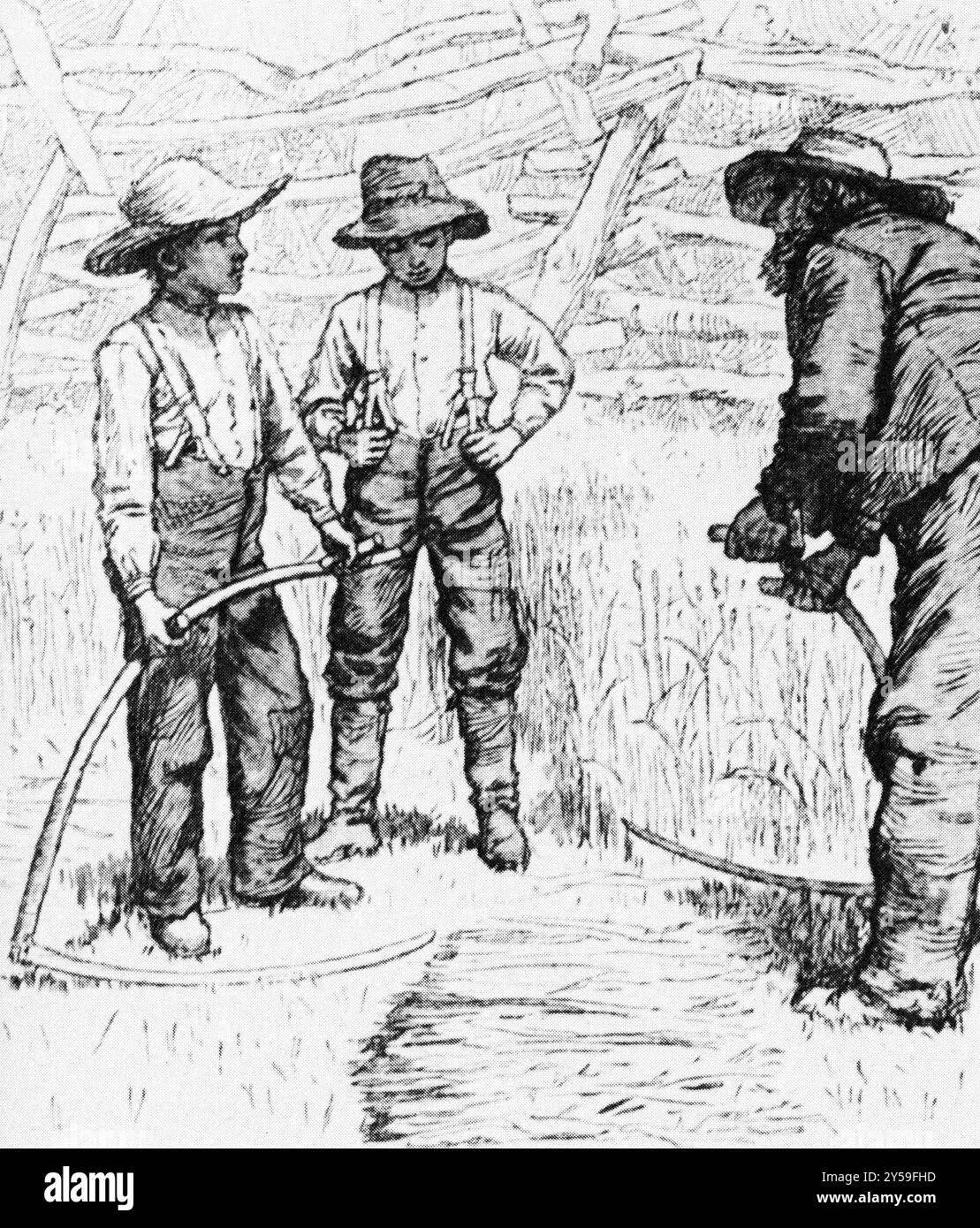 Engraving of boys at work in the fields with their scythes, circa 1880 ...