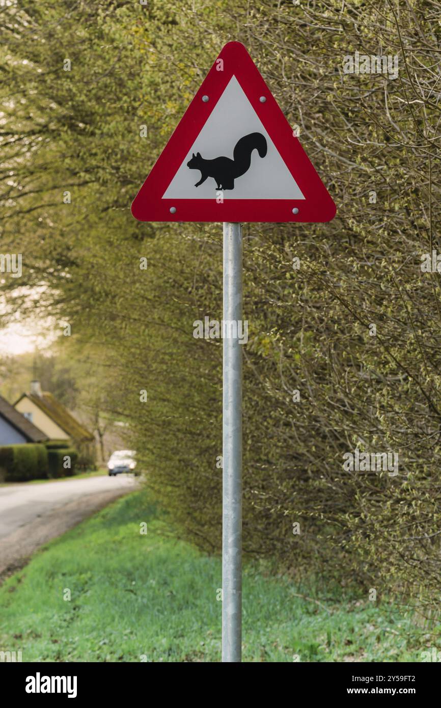 Squirrel warning sign on the island of Langeland, Denmark, Europe Stock ...