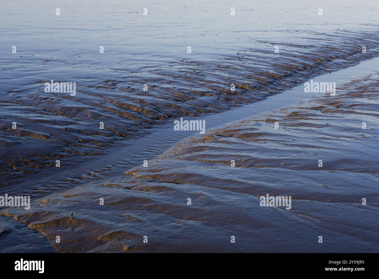 The Wadden Sea is divided by a tidal flat running diagonally through ...