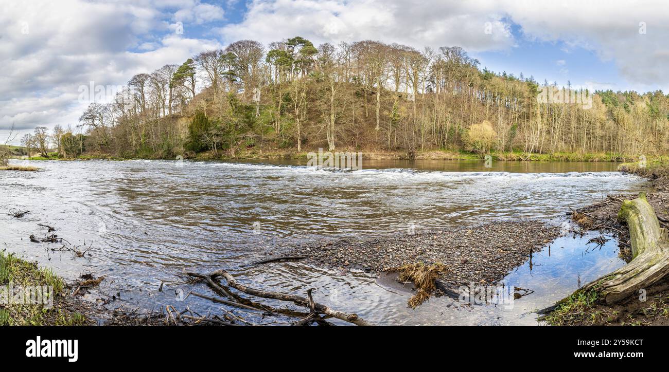 River Teviot Panorama, Scottish Borders, UK Stock Photo - Alamy