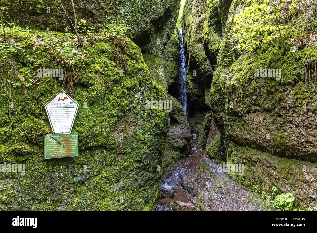 Hiking in the Dragon Gorge Eisenach Thuringia Stock Photo - Alamy
