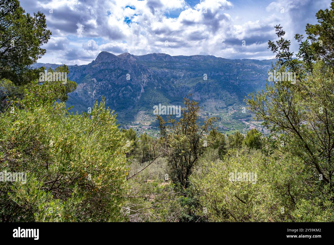 Serra de Tramuntana Mountain Range, horizontal shot with trees in front ...