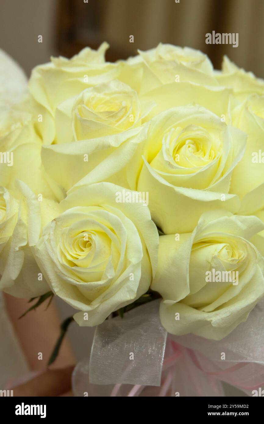Bouquet of White Roses for a small wedding Stock Photo - Alamy