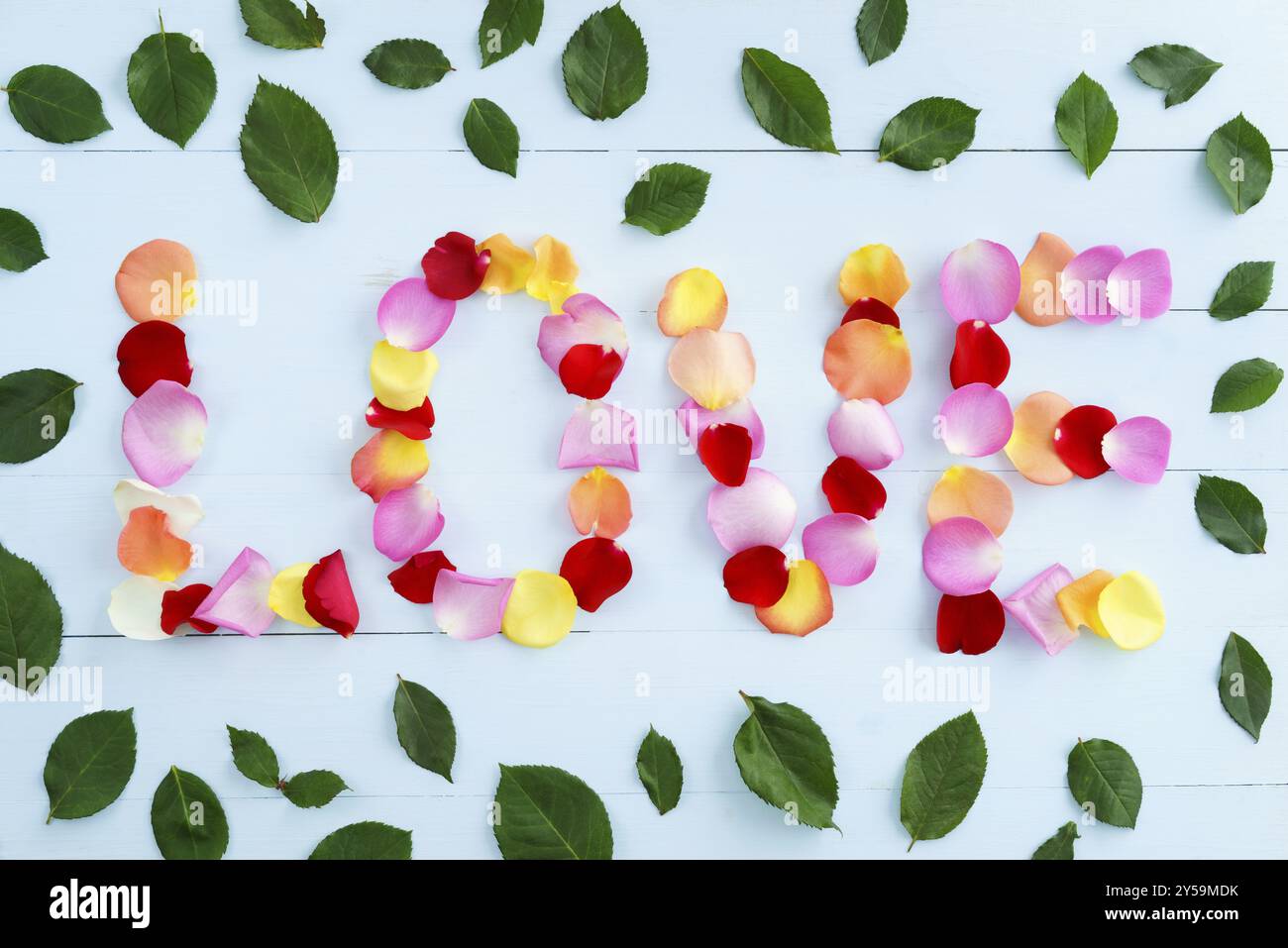 Word love formed out of colorful rose petals on light blue background ...