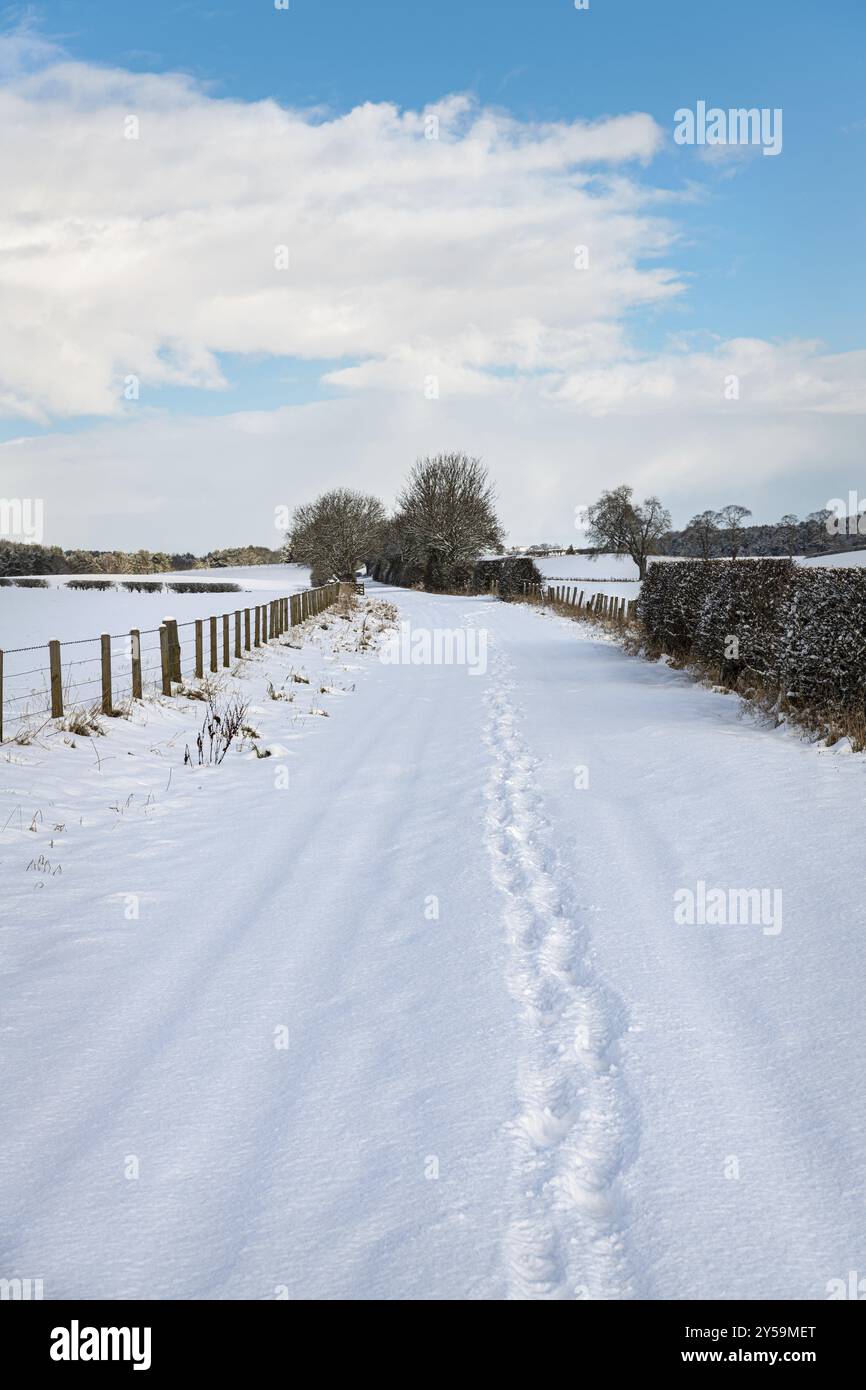 Snow Covered footpath (on disused railway) in the Scottish Borders ...