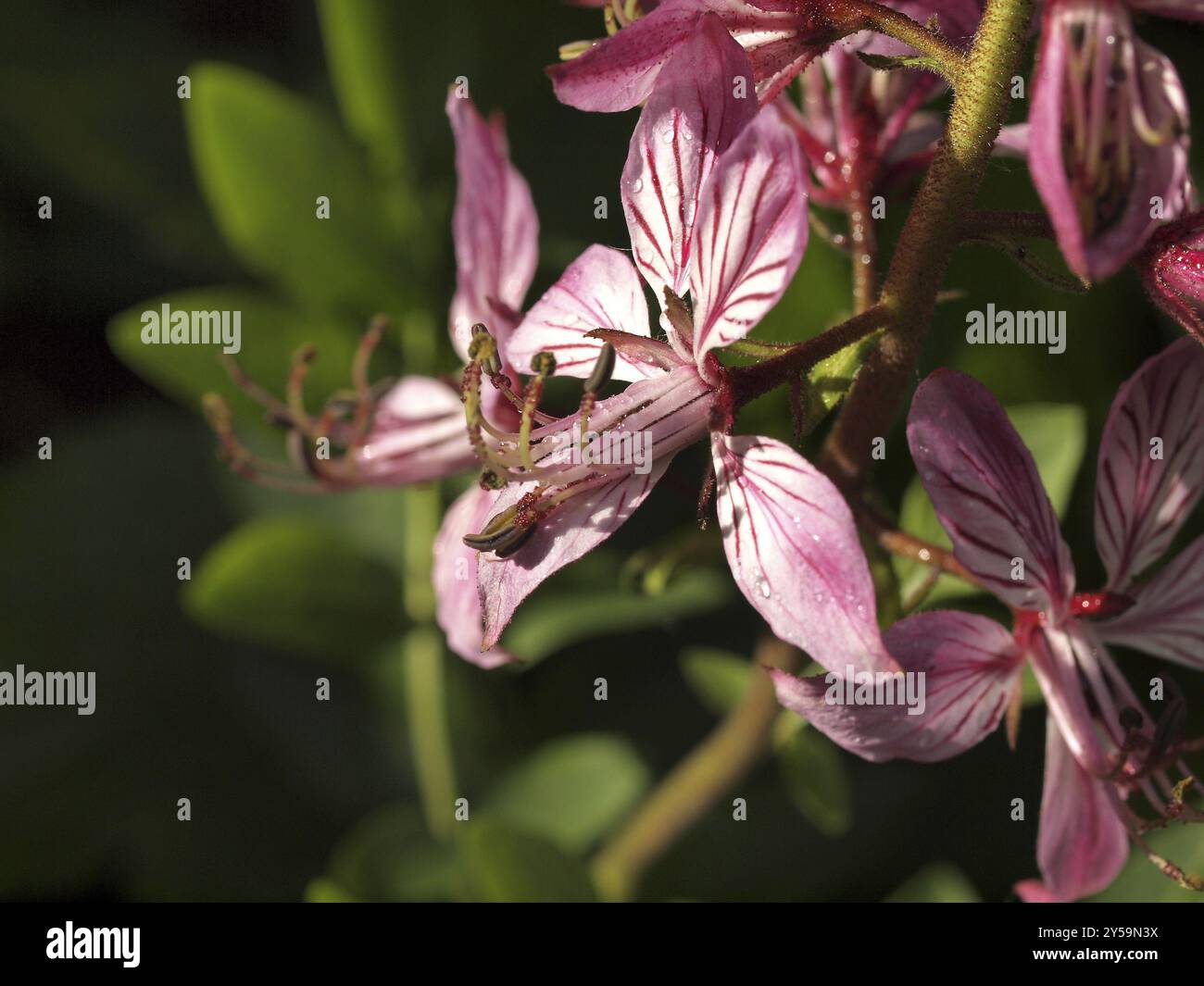 Gasworks hi-res stock photography and images - Alamy