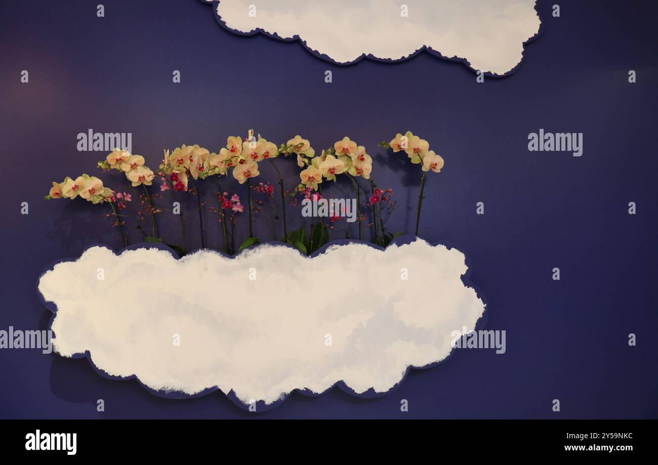 An artistic display of yellow and pink Phalaenopsis Orchids floating ...