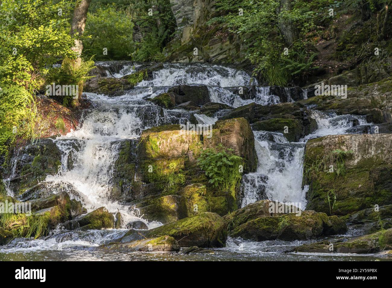 Pictures of the Selke waterfall in the Selke valley Harz near Alexisbad ...
