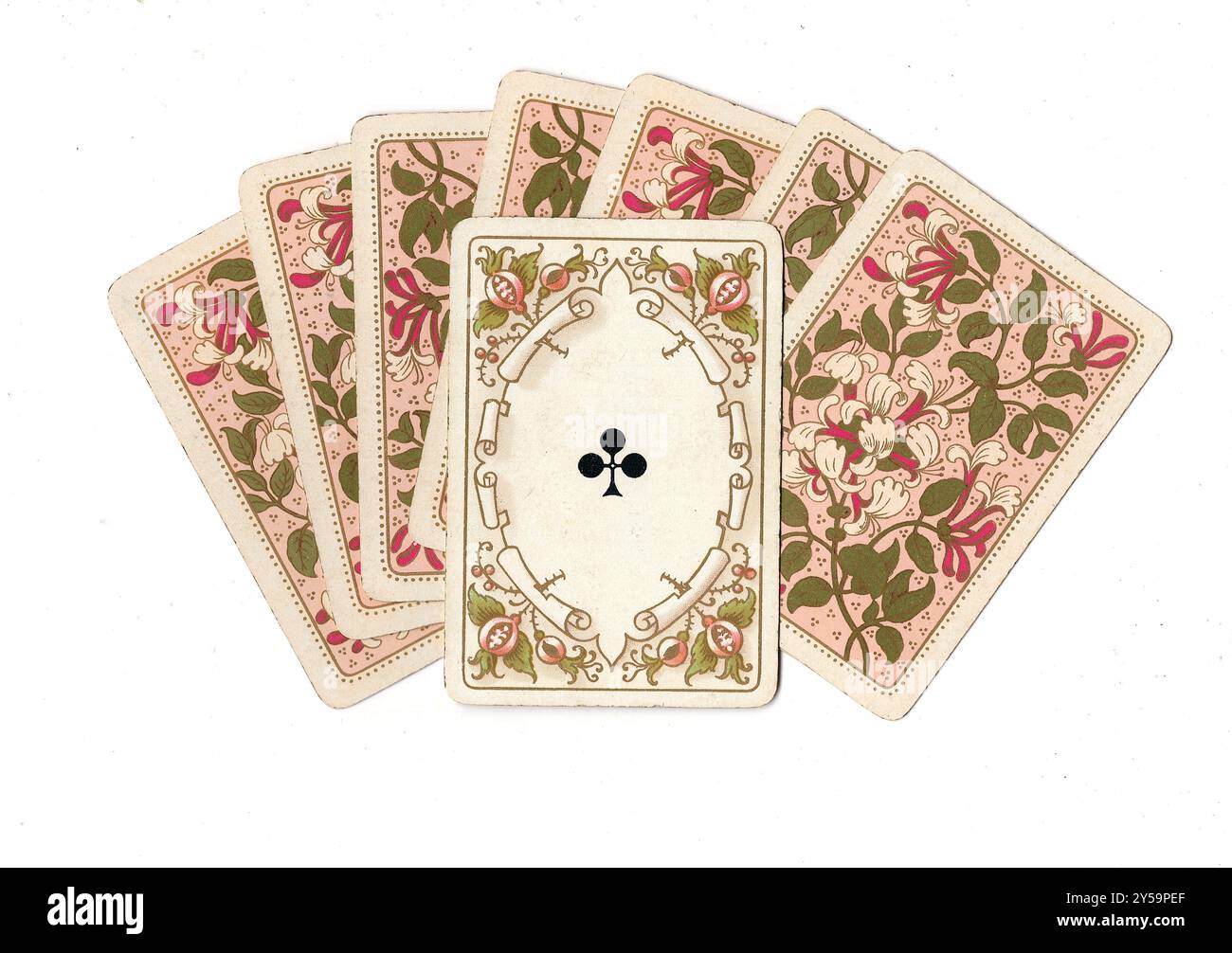 A fan of vintage card backs with one picture card revealed on a white ...