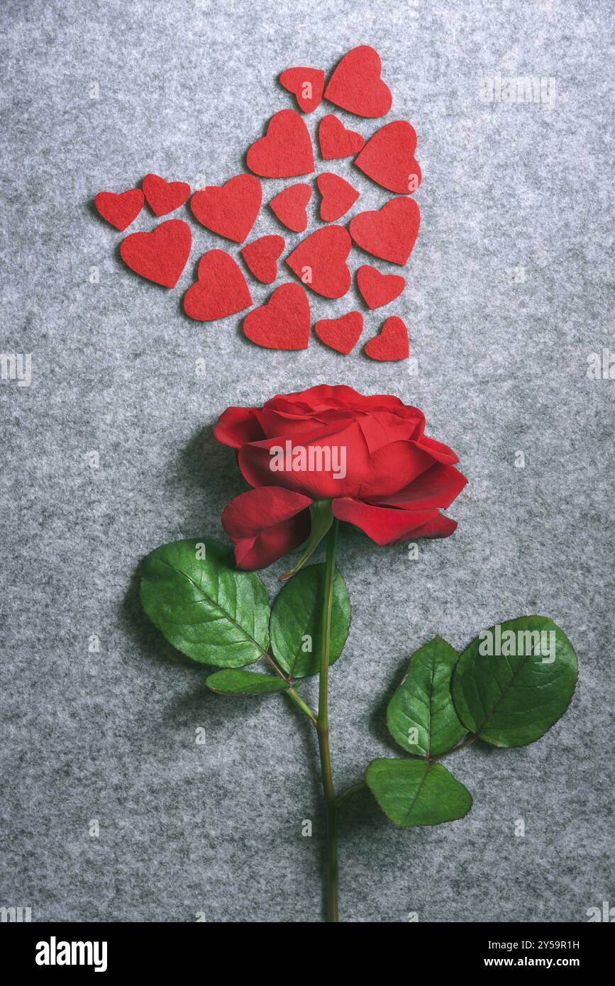 Valentine day image with a beautiful red rose and small red fabric ...
