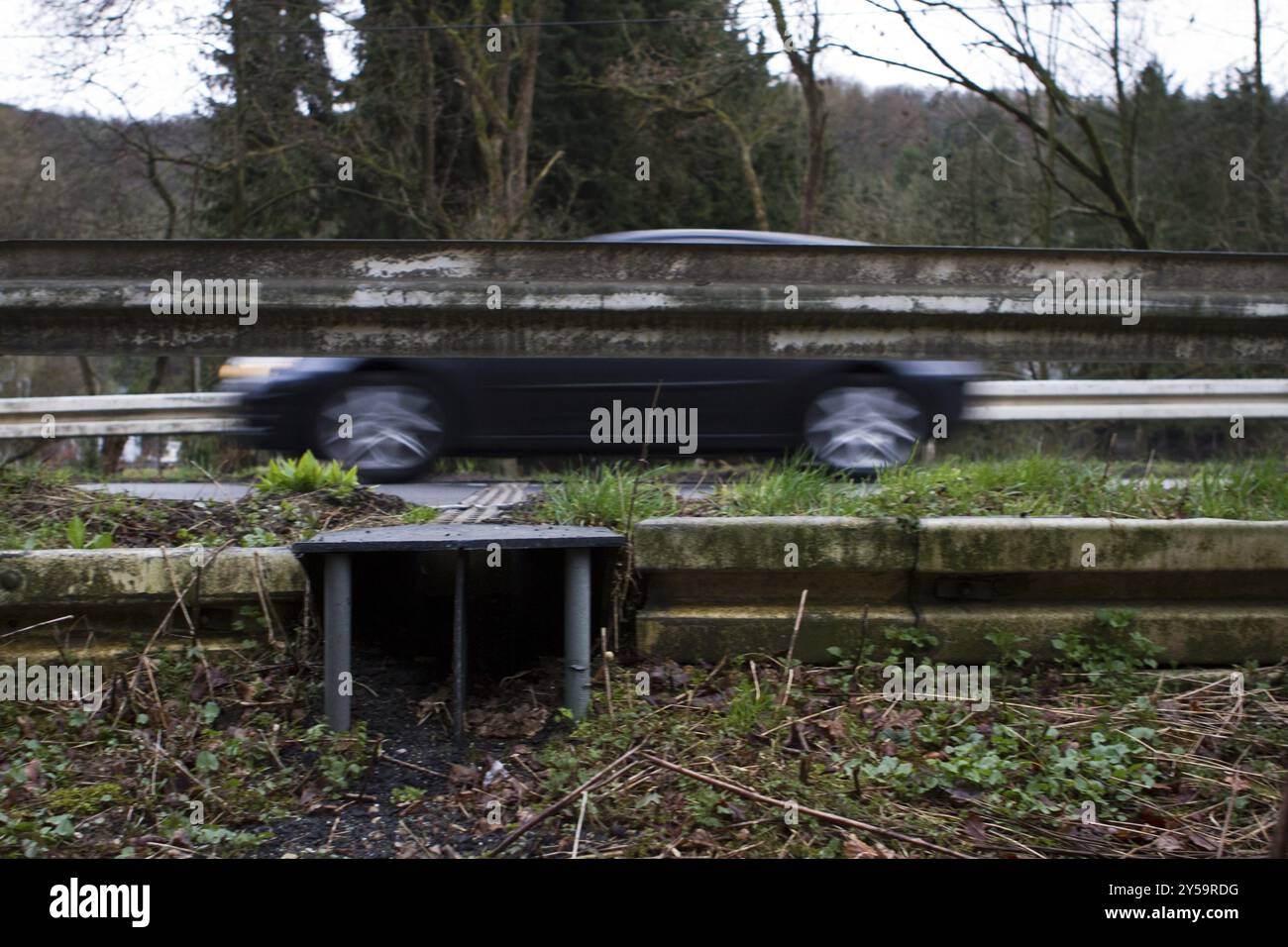 A car drives over an amphibian culvert embedded in the road Stock Photo ...