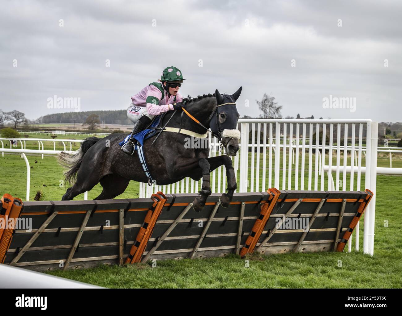 Racing at Kelso, Scotland, United Kingdom, Europe Stock Photo - Alamy