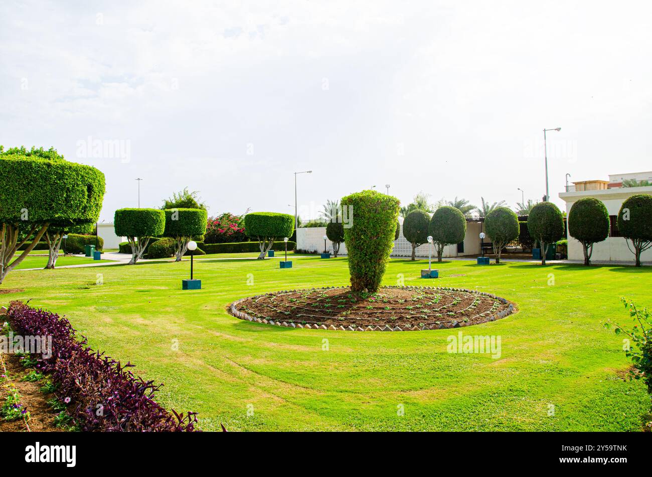 Arches and palms of the Al Ruwais park in Qatar Stock Photo - Alamy