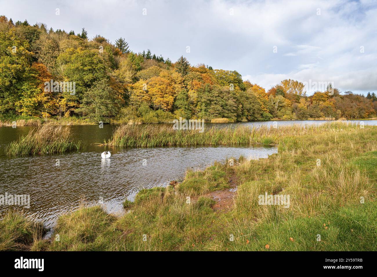 Hen Poo Lake, Duns, Scotland, United Kingdom, Europe Stock Photo - Alamy