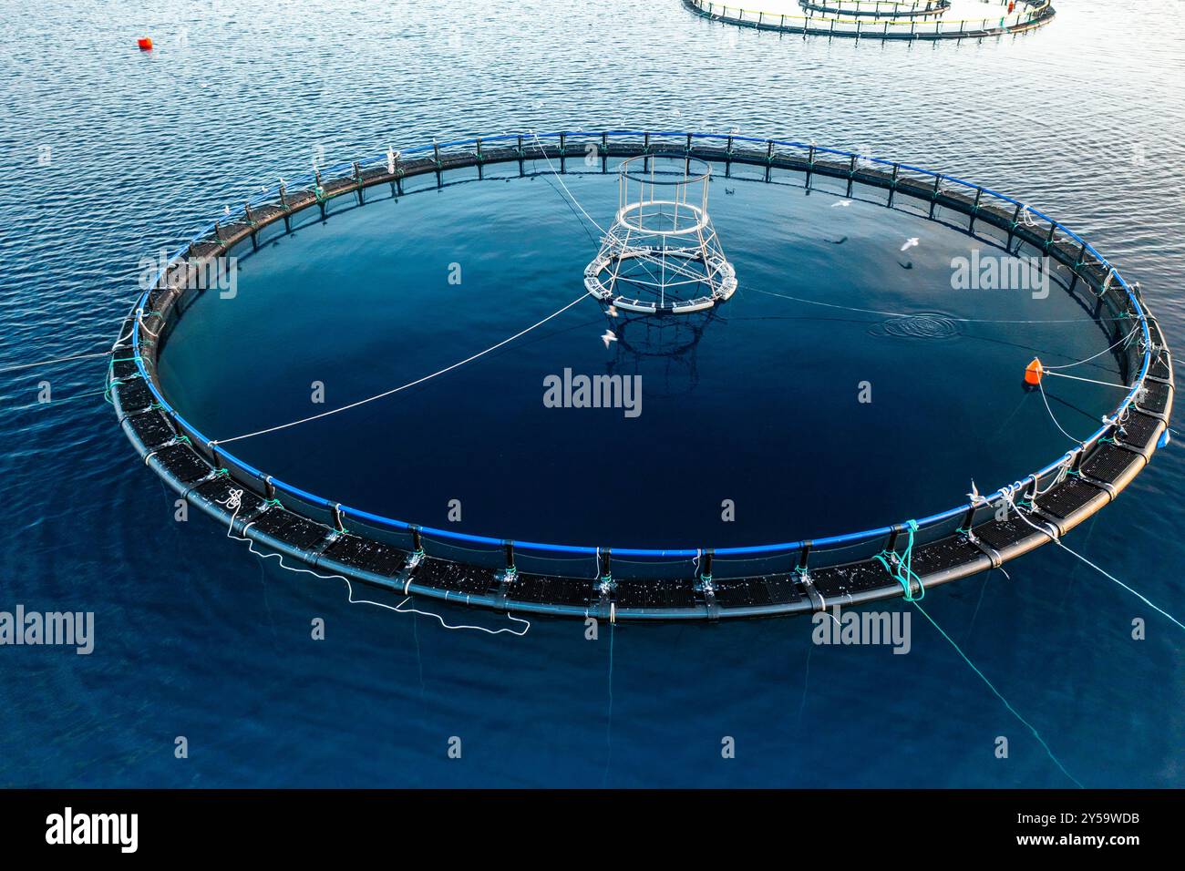 Norway marine fish farms with round enclosures closeup. Farm ...