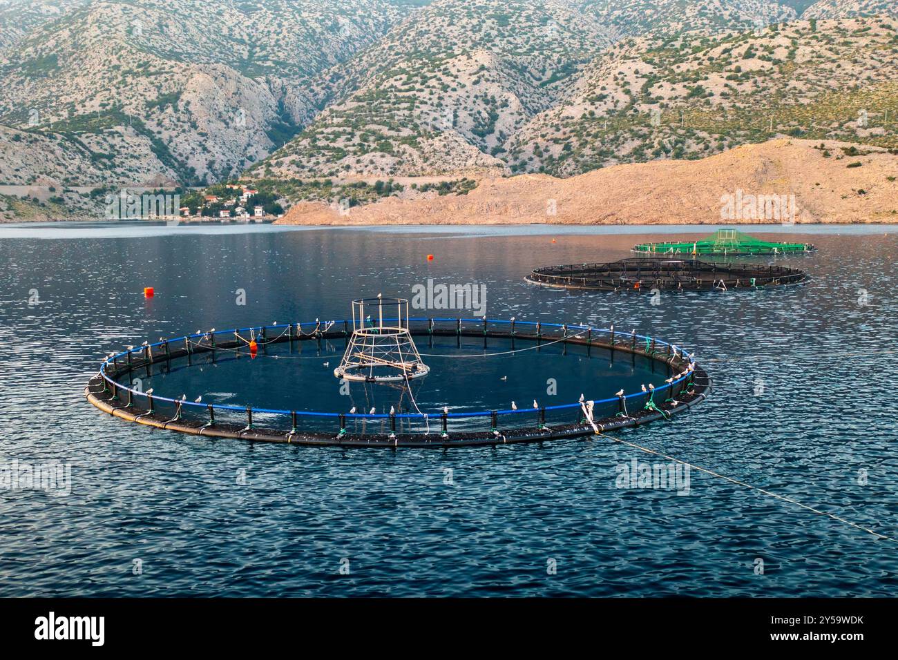 Fish farm with circular nets in calm water surrounded by mountains and ...