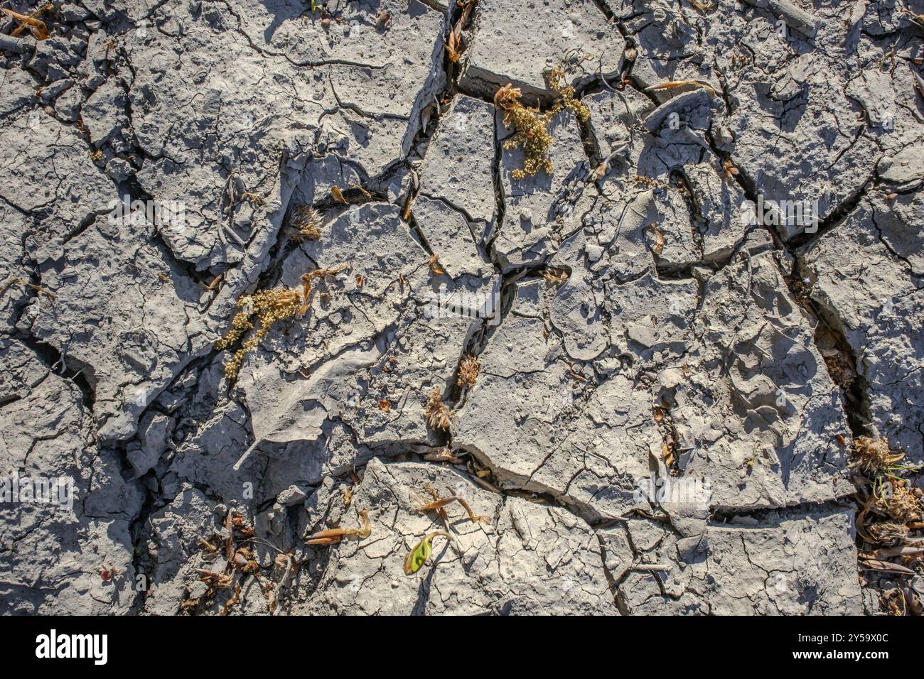Dried out soil Lack of rain Stock Photo - Alamy