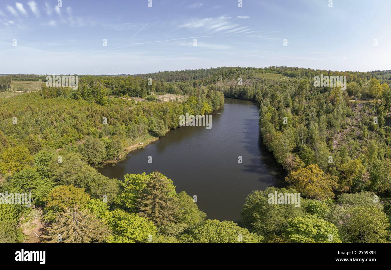 Lake in the forest Lake Elbinger in the Selke valley on the Selke ...