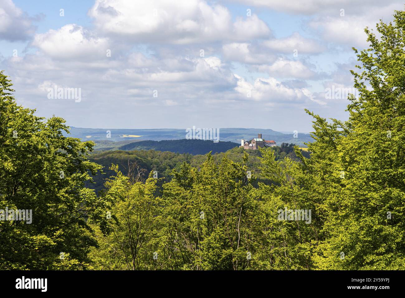 Hiking in the Dragon Gorge Thuringia Eisenach Stock Photo - Alamy