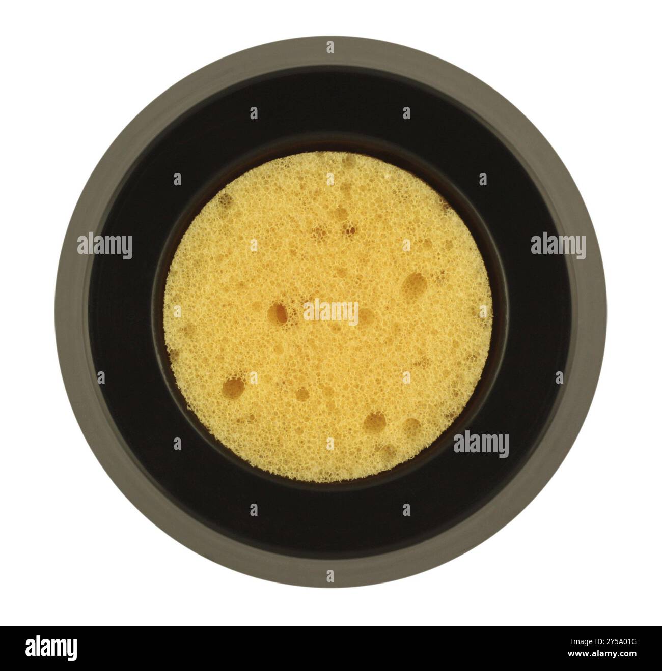 Stamp sponge isolated in white Stock Photo - Alamy