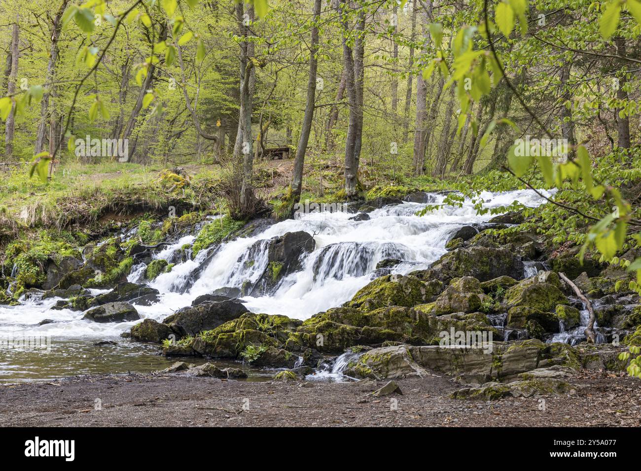 Selke waterfall Harz Selke valley Stock Photo - Alamy