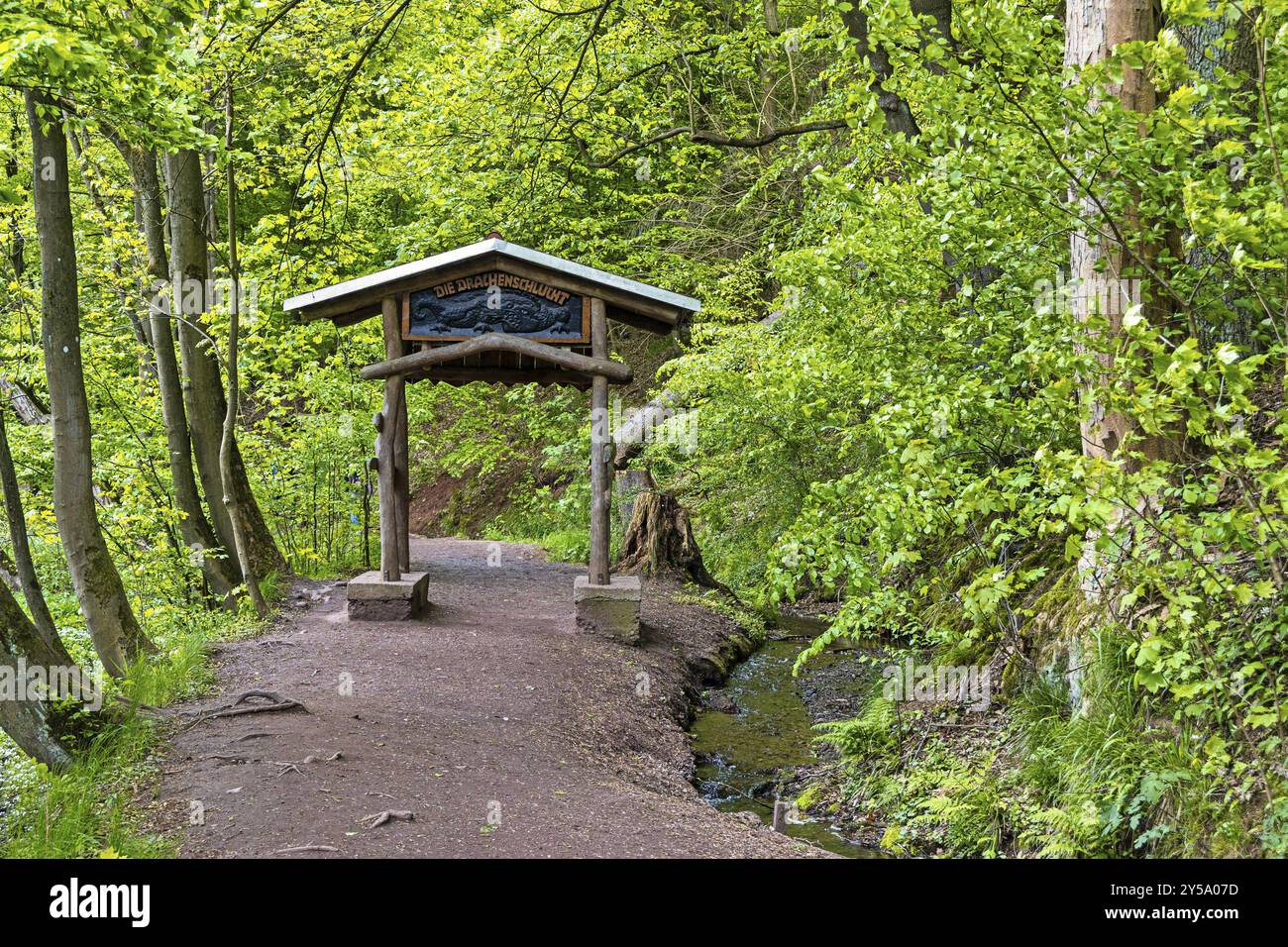 Hiking in the Dragon Gorge Eisenach Thuringia Stock Photo - Alamy